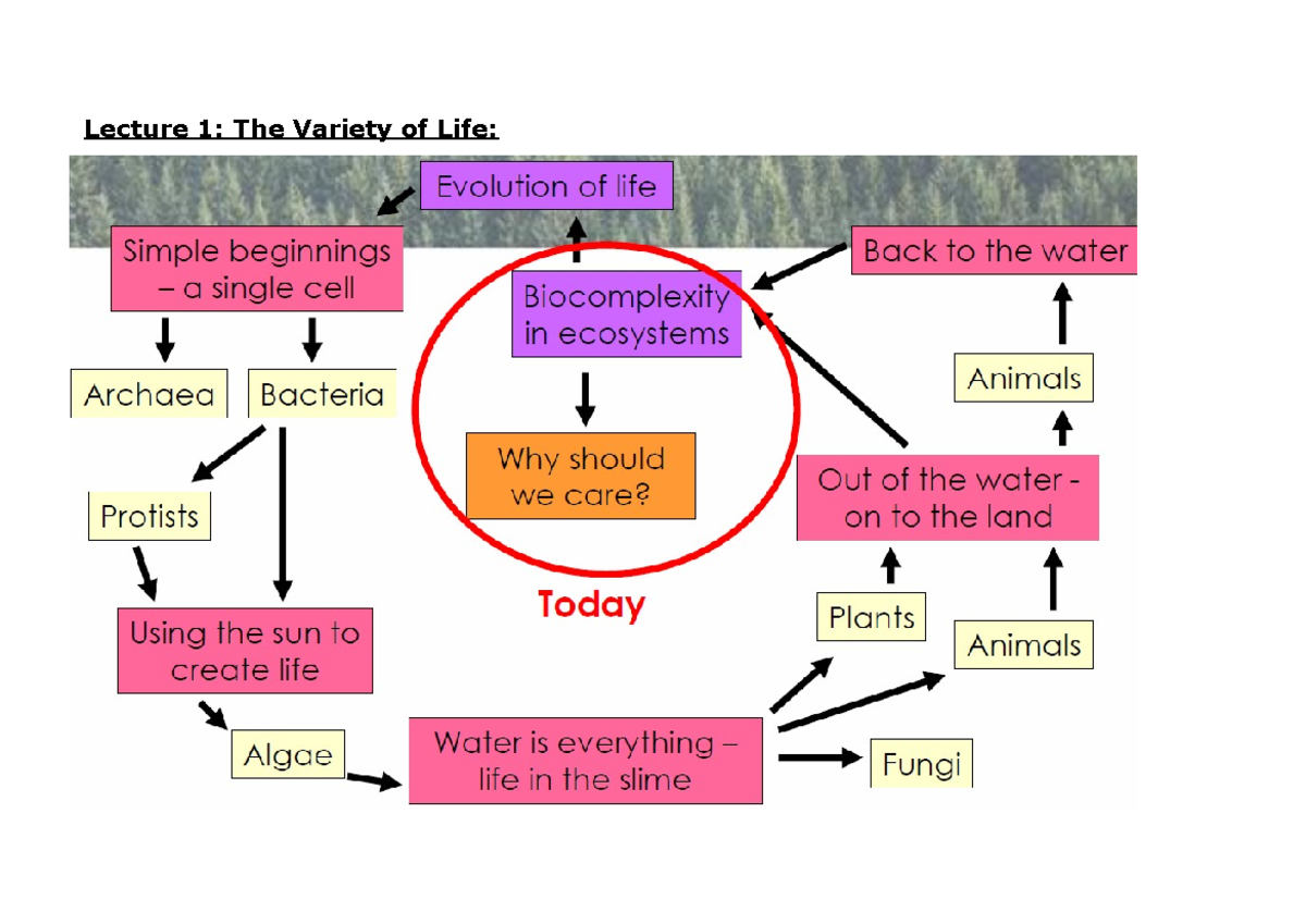 Week 2 Lecture 1 - 091123 - Lecture 1: The Variety of Life: - Studocu