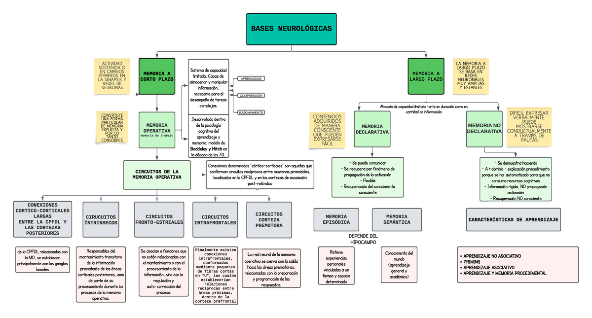 Trabajo UC2 MAPA Conceptual - BASES NEUROLÓGI CAS MEMORI A A CORTO PLAZO MEMORI A OPERATI VA ...
