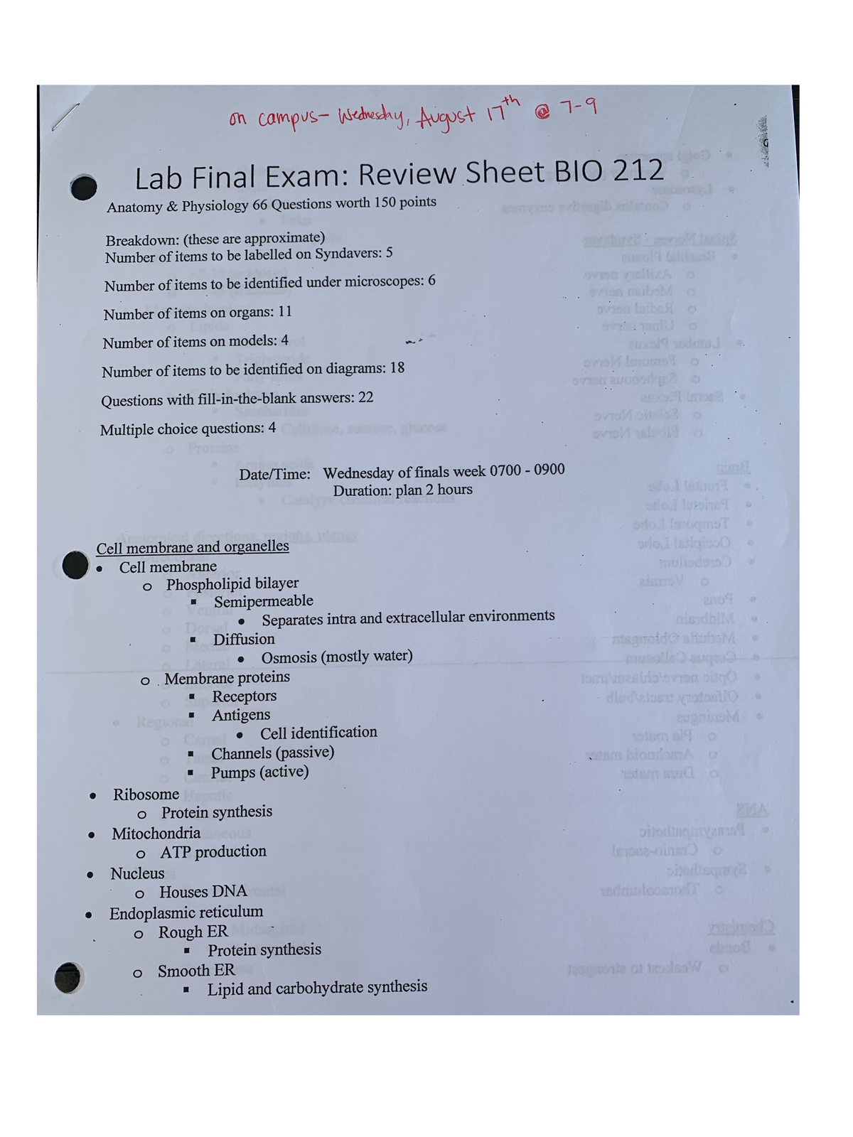 Lab Exam Review Sheet - NUR 305 - Studocu