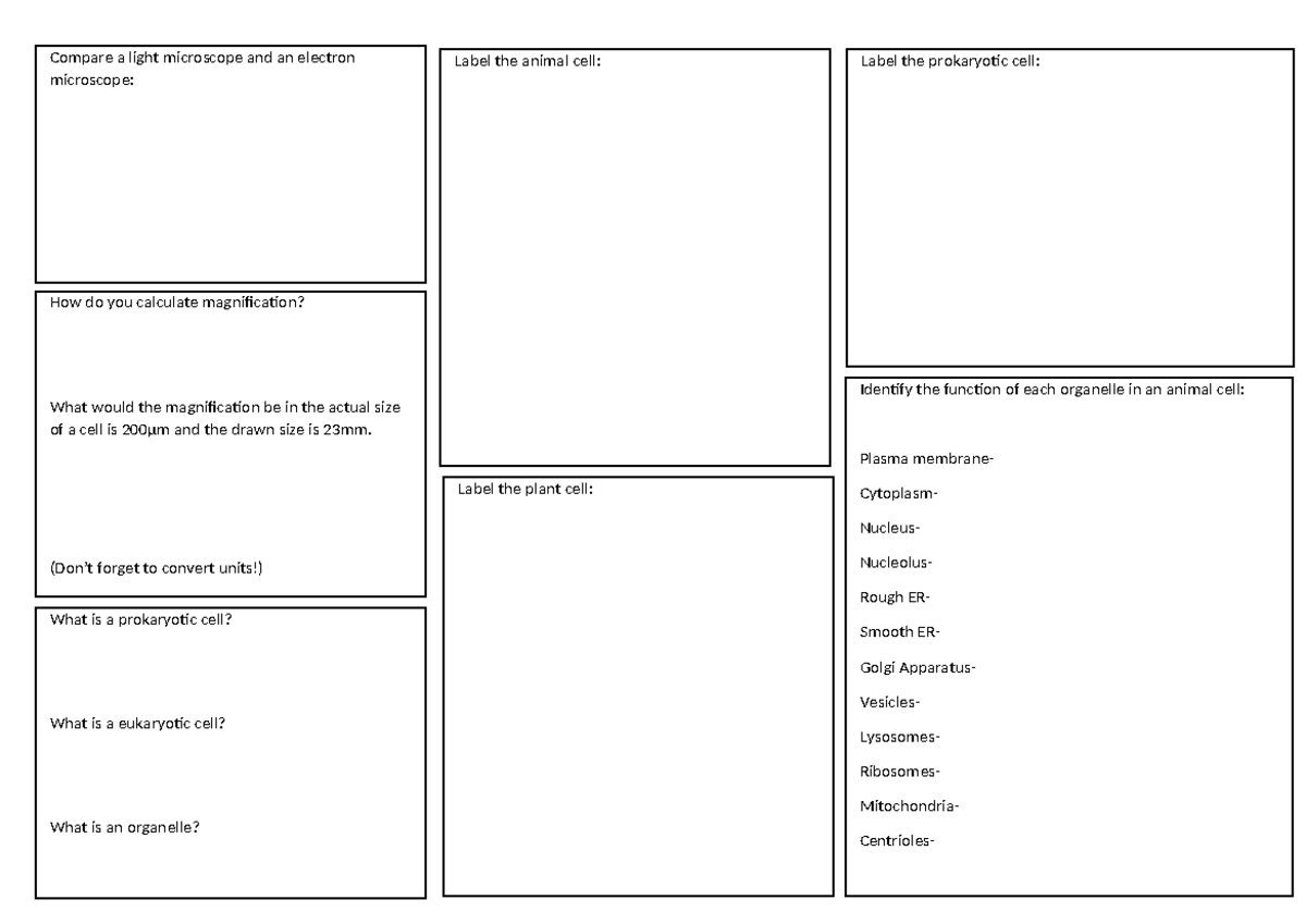 Biology Mid Point Revision Grid - Compare a light microscope and an ...