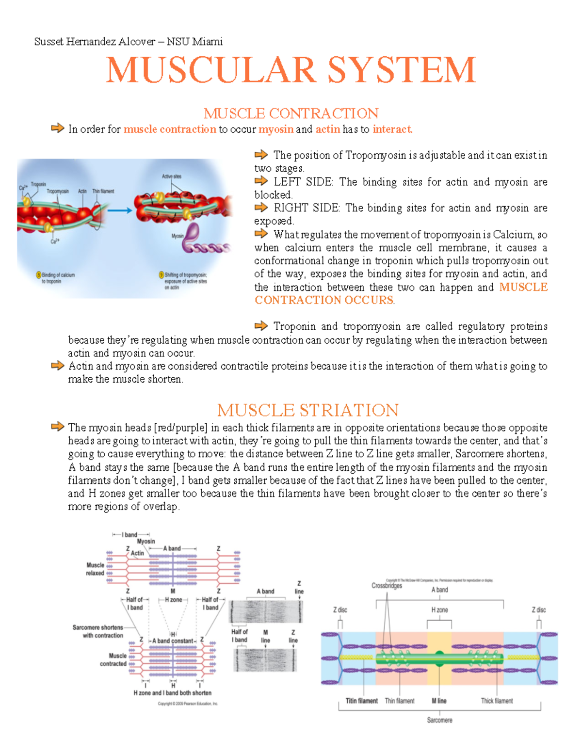 Muscular System Summary - Susset Hernandez Alcover NSU Miami MUSCULAR ...