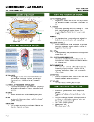 Exercise NO. 4 Tissues - EXERCISE NO. 4 Tissues Name: DAWGDOG,SMILEY M. Date Submitted: Year and ...