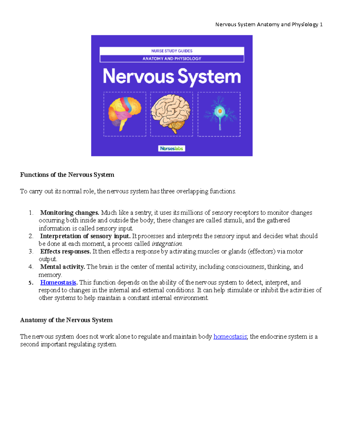 Nervous System Anatomy and Physiology - Functions of the Nervous System ...