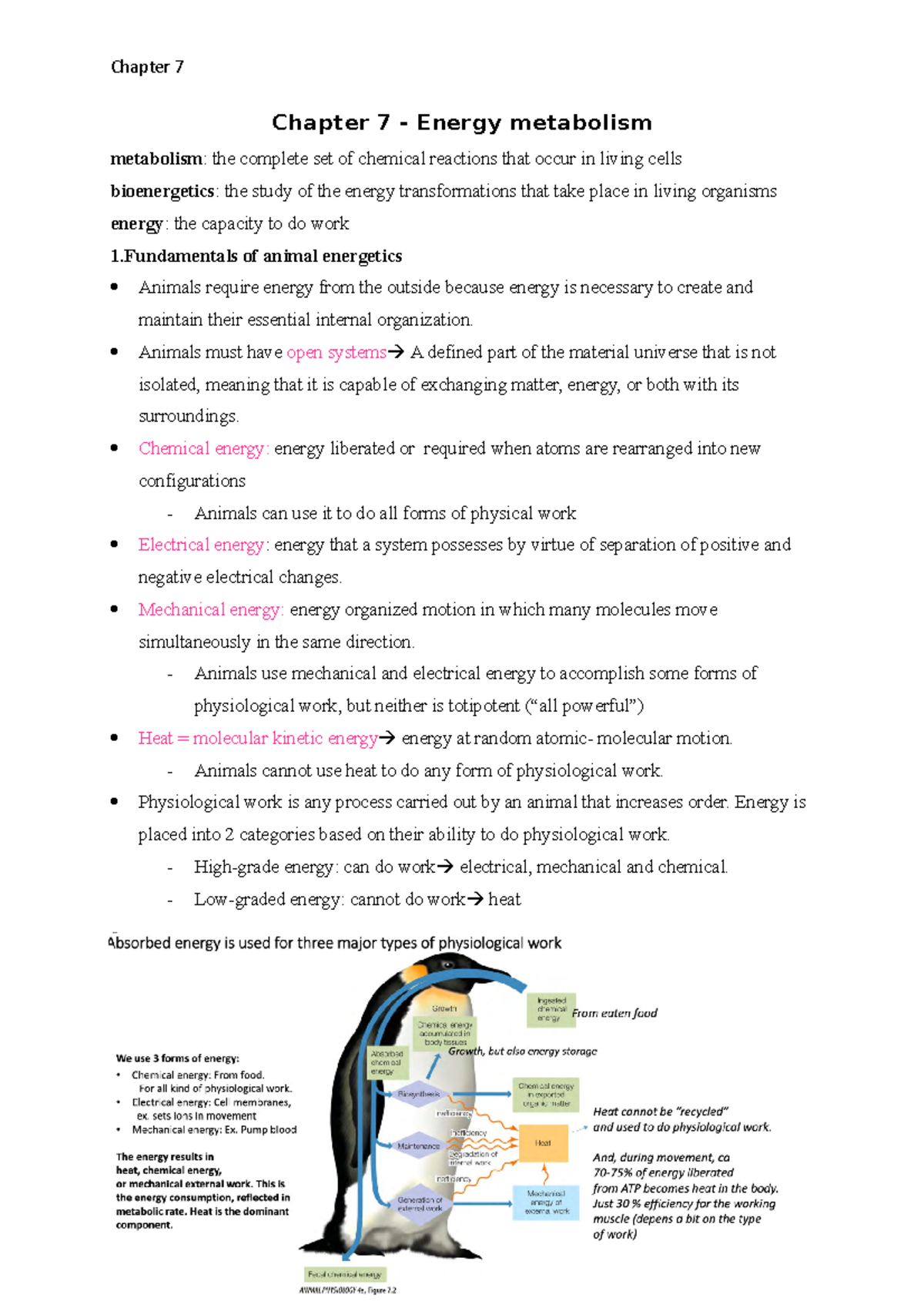 Chapter 7 energy metabolism - Chapter 7 - Energy metabolism metabolism ...