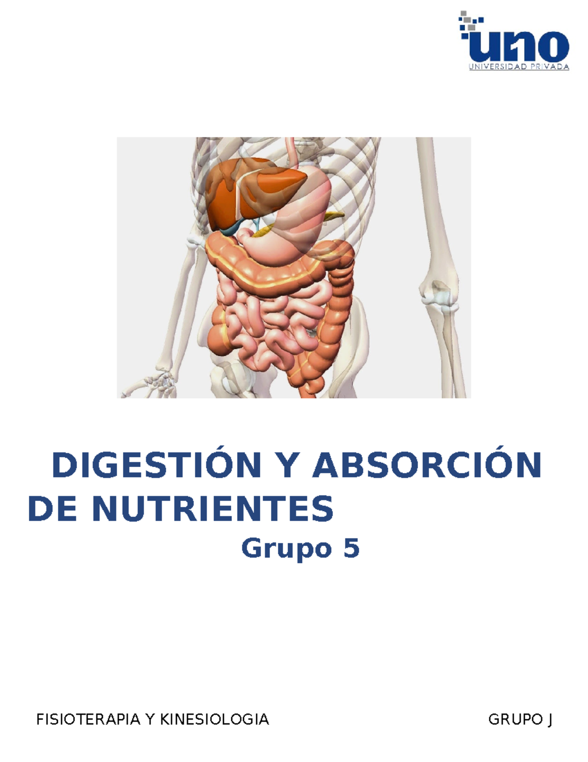Digestión Y Absorción DE Nutrientes - DIGESTIÓN Y ABSORCIÓN DE ...