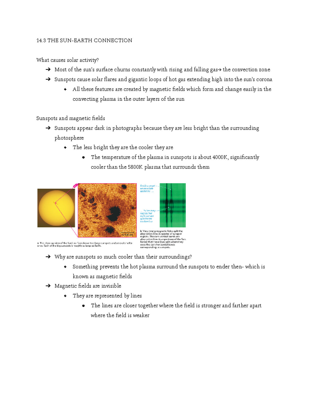 Lecture 11 Textbook - The Sun-Earth connection: sunspots and magnetic ...