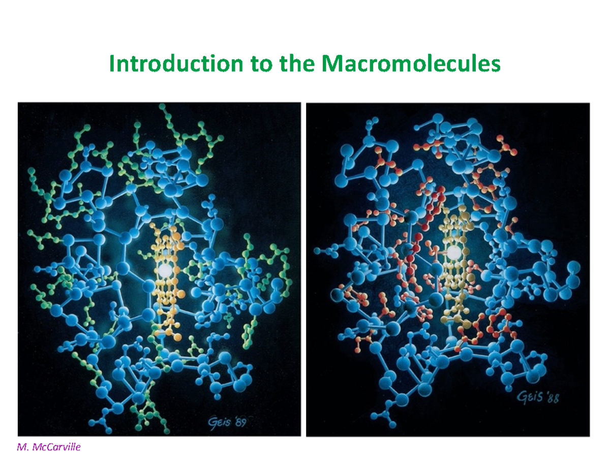 2a - Introduction to Macromolecules - Introduction to the ...