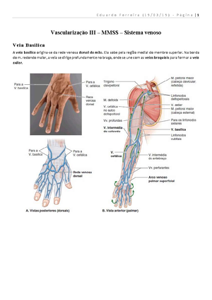 1. Anatomia do mediastino e pericárdio - Warning: TT: undefined function: 32 Anatomia do ...
