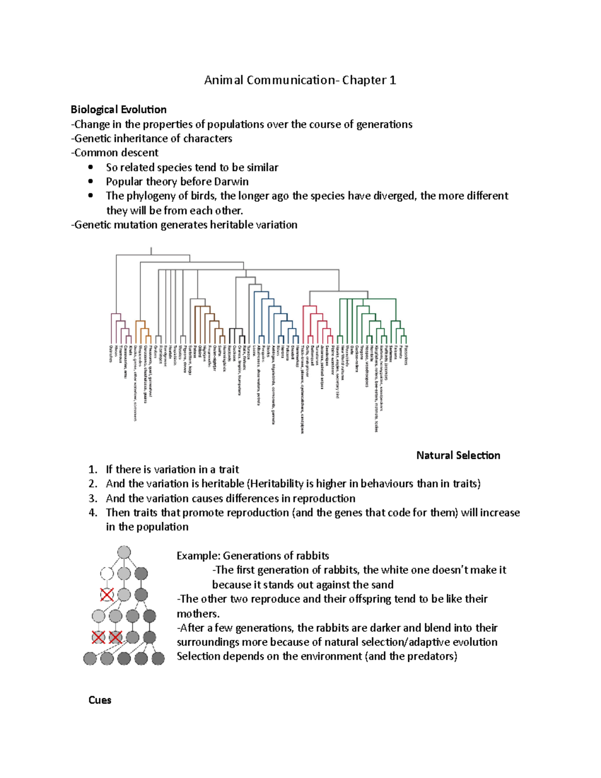 Chapter 1 Notes - Prof: David Logue - Animal Communication- Chapter 1 ...