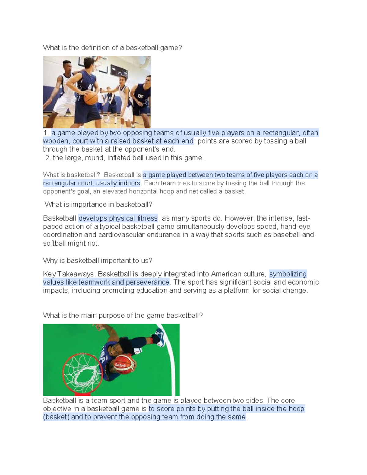 What is the definition of a basketball game - 2. the large, round ...