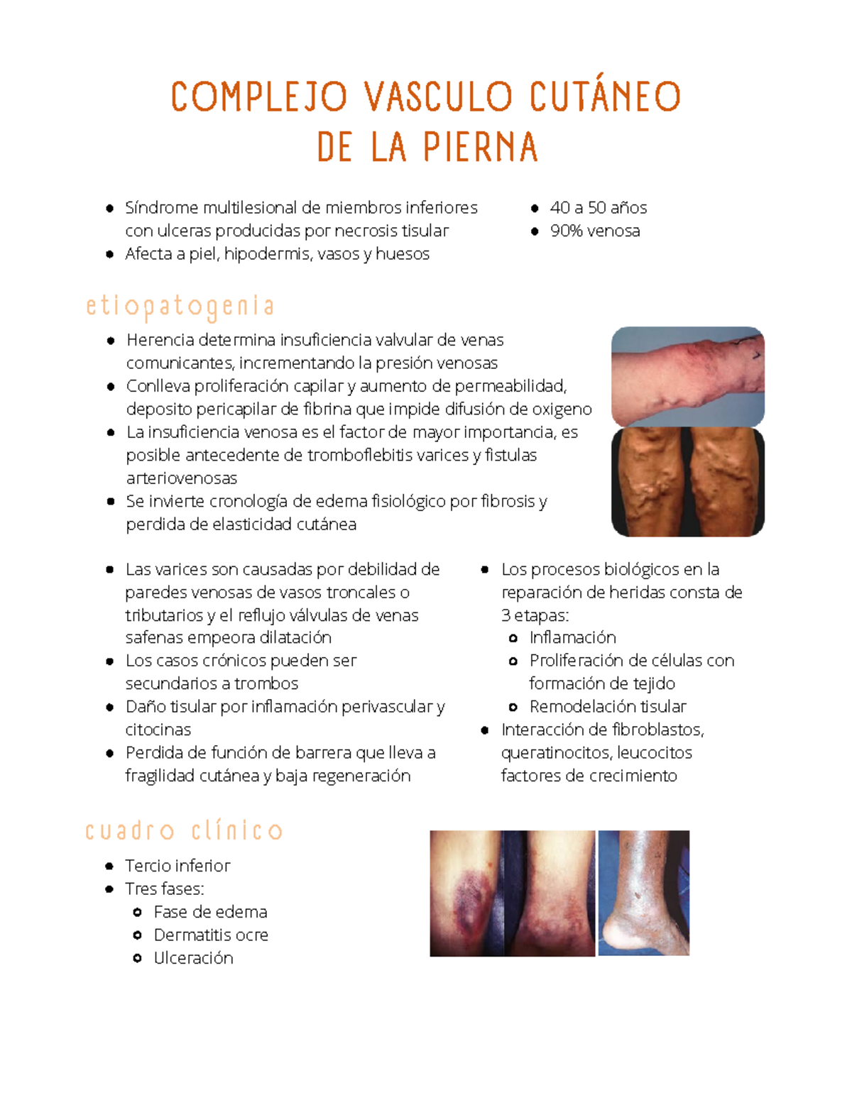 Complejo Vasculo cutáneo de la Pierna - COMPLEJO VASCULO CUTÁNEO DE LA ...