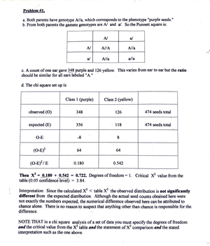 Chapter 41 - Heterotrophs: cannot make own food Incomplete digestive ...