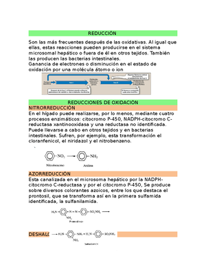 Isoniazida, Acetilación - ACETILACIÓN: Se incorpora un radical acetilo ...