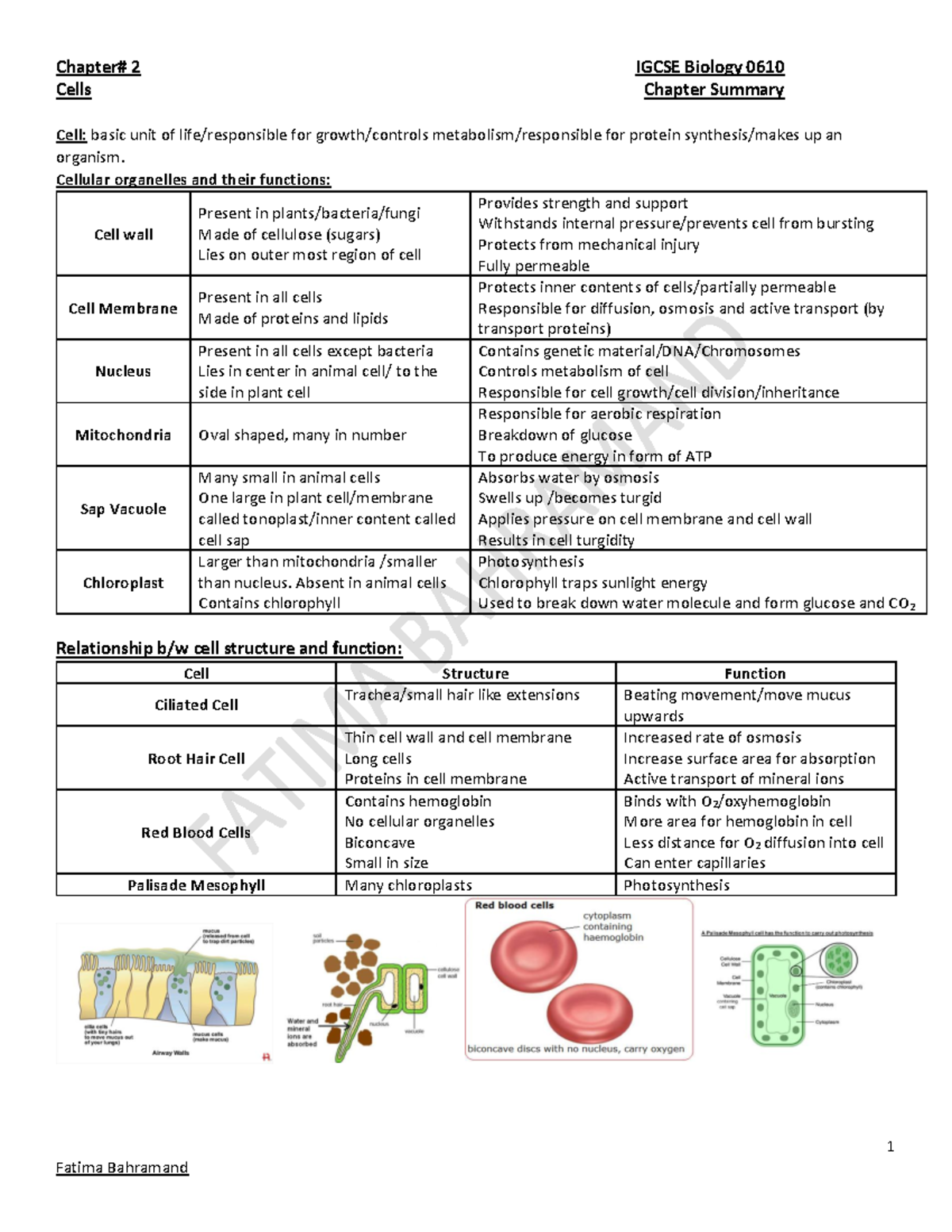 Ch#2 cell structure summarized - Chapter# 2 IGCSE Biology 0610 Cells ...