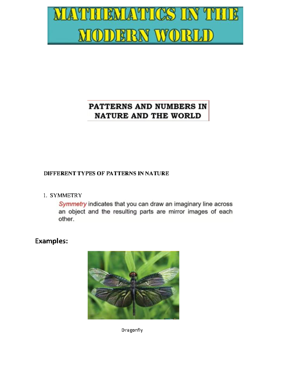 Types OF Patterns - DIFFERENT TYPES OF PATTERNS IN NATURE 1. SYMMETRY ...