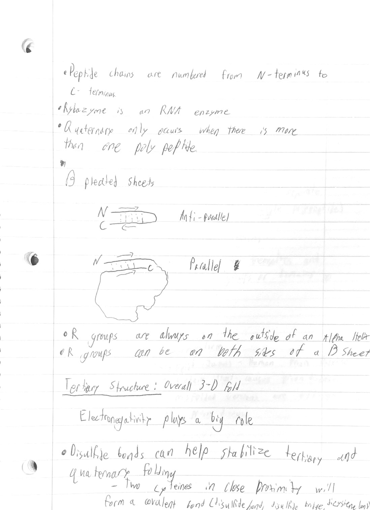 Notes - BIO 285 - Studocu