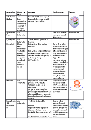 Kapittel 5 Celler - Bios Biologi 1 (2018) - Celler 1. Prokaryote og eukaryote organismer Vi ...