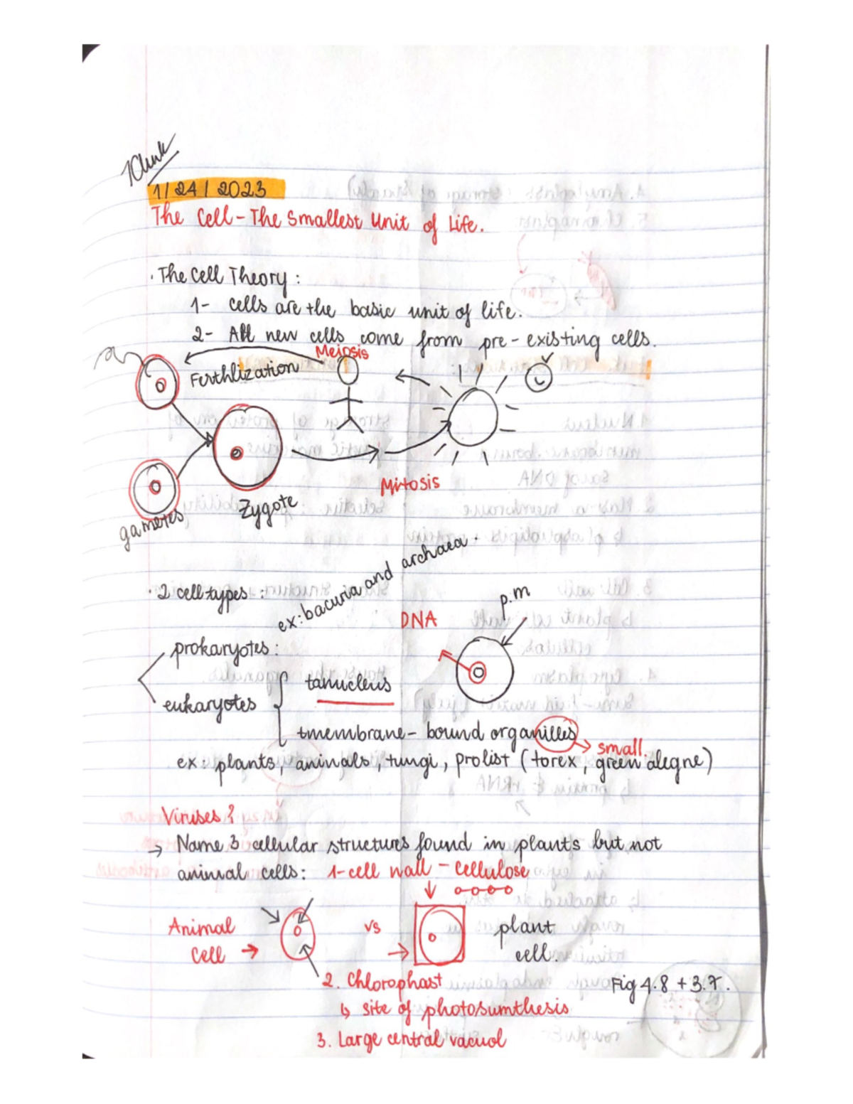 Annotated-The%20Cell%20Lecture Kha%CC%81nh%20Linh%20Lieu - BSC 2010C ...