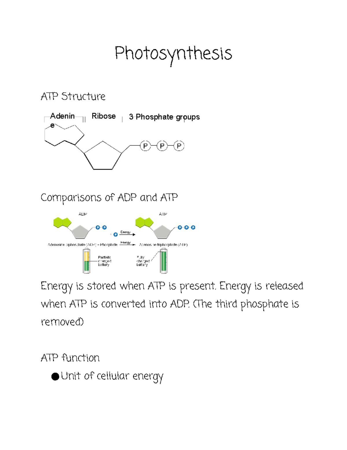 Photosynthesis - uni 5 - Photosynthesis ATP Structure Comparisons of ...