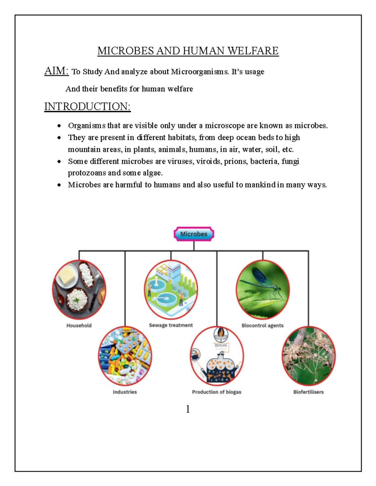 Bio Projec-1 altered - Not - MICROBES AND HUMAN WELFARE AIM: To Study ...