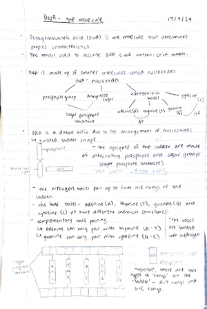Year 10 science notes - Topics to be assessed: • The Periodic Table and ...