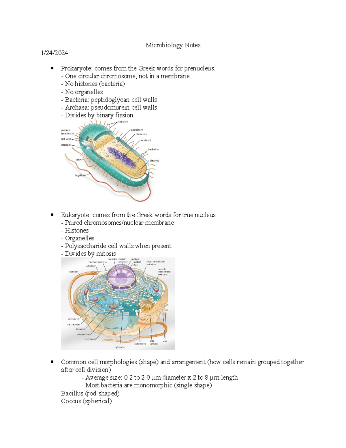 Microbiology Notes - Microbiology Notes 1/24/ Prokaryote: comes from ...