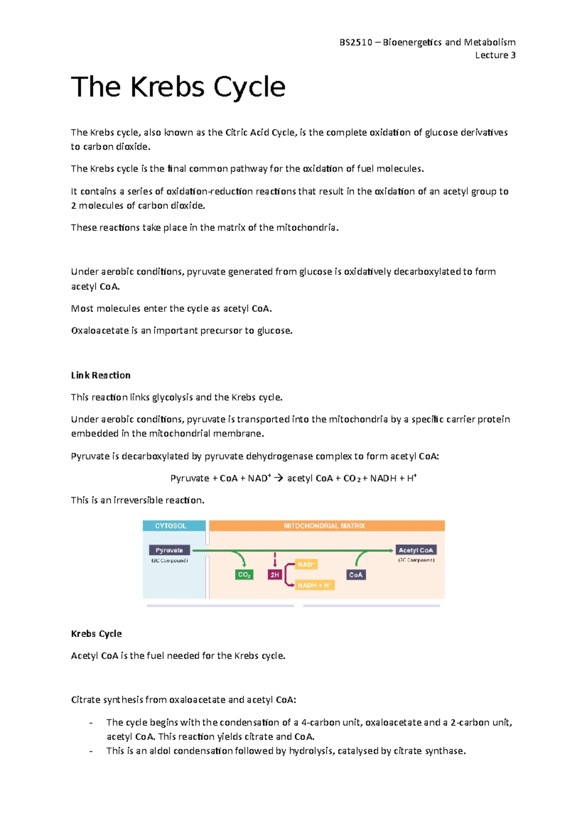 3 - Krebs Cycle - Lecture notes 3 - BS2510 – Bioenergeics and ...