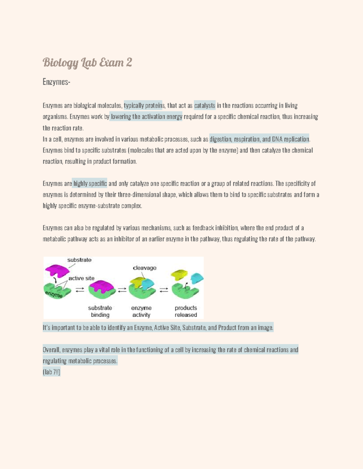 Biology lt - this was for a lab exam, pictures included to truly grasp ...