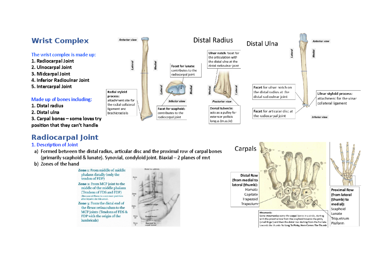 Wrist Complex - BM Anatomy - Lecturer: Alex Trollope - Wrist Complex ...
