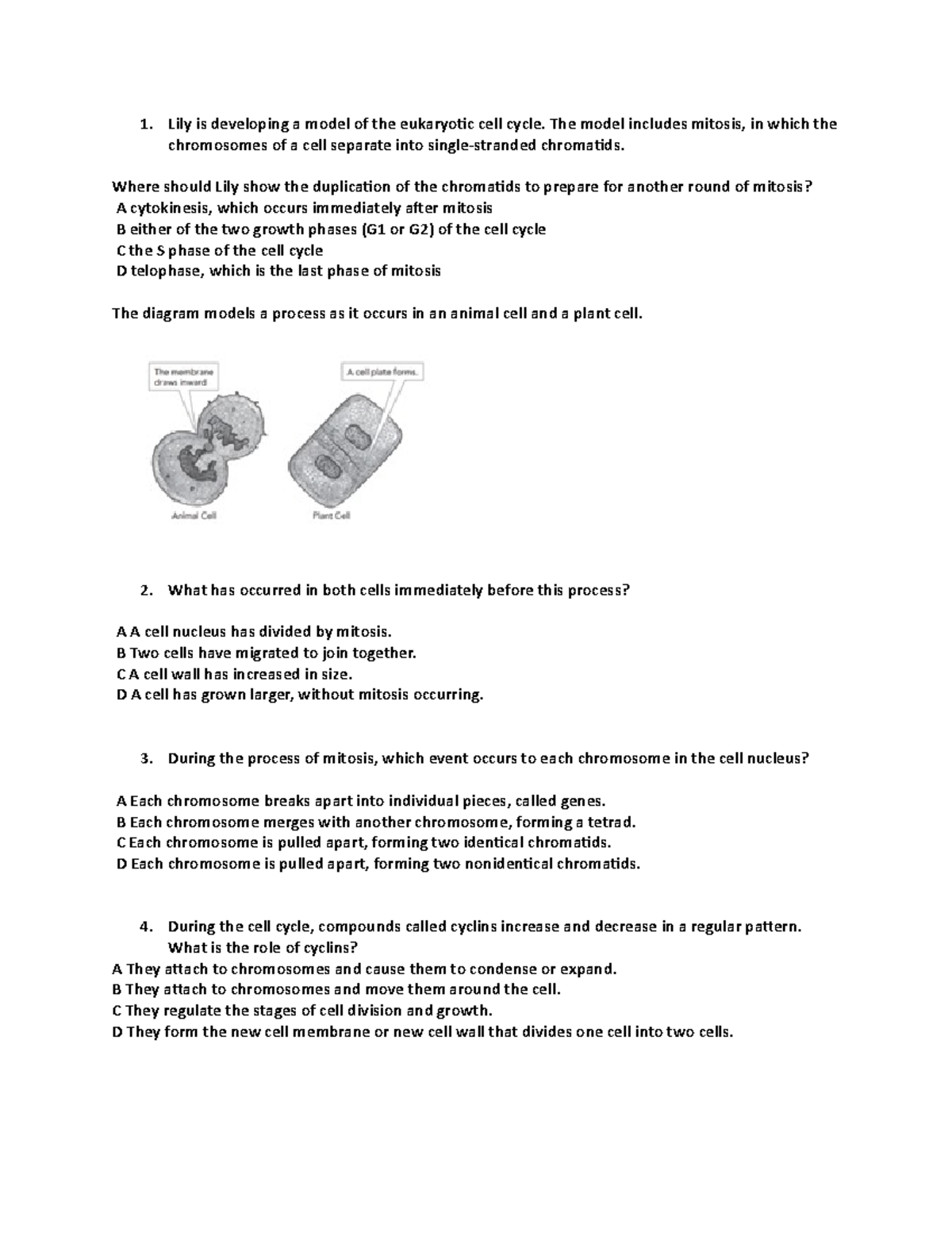 Cell Cycle Quiz Studying For Degree Lily Is Developing A Model Of