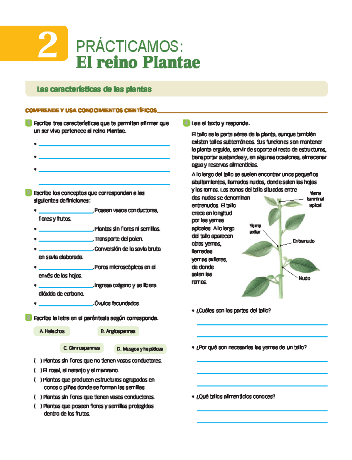 A1º- Pract-ACT1 CYT U2 - .... - COMPRENDE Y USA CONOCIMIENTOS - Studocu