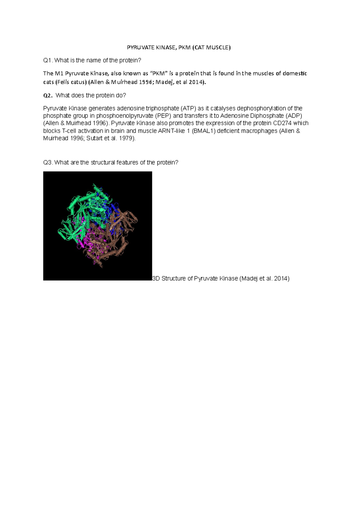 Functional Proteins AND Genes Protein 1PKM - PYRUVATE KINASE, PKM (CAT ...