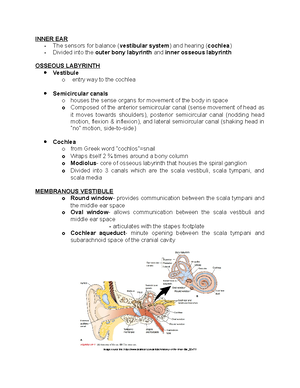 Audiology Cheat Sheet (5x8 index card) - AUDIOLOGY AUDIOGRAM SYMBOLS (R ...