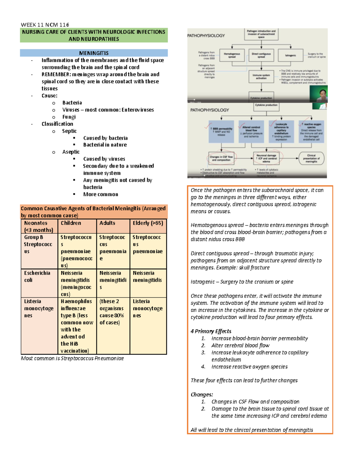 WEEK 11 NCM 116 - Medical surgical nursing - NURSING CARE OF CLIENTS ...
