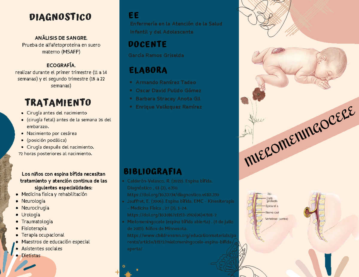 Triptico Mielomeningocele - MIELOMENINGOCELE Enfermería en la Atención ...