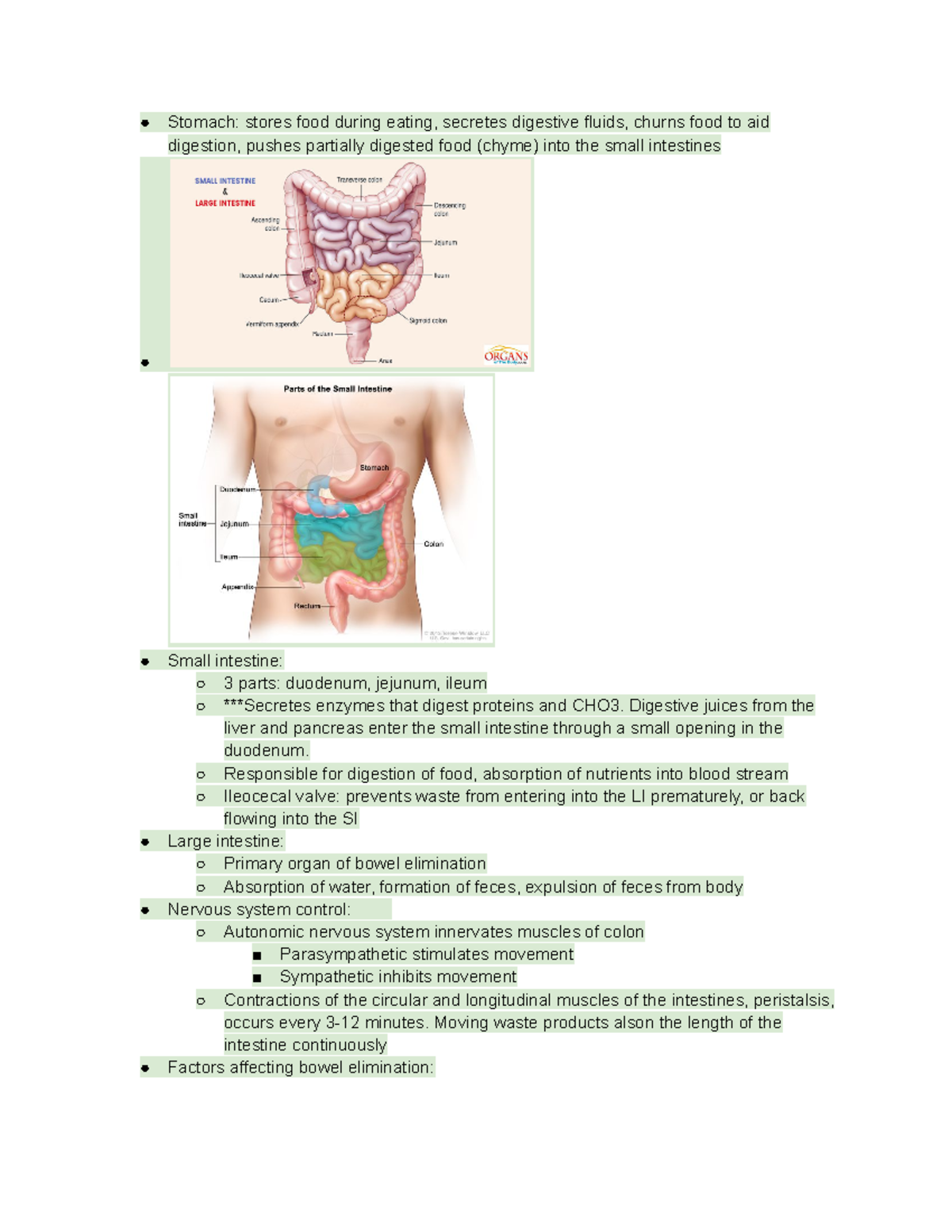 Gastrointestinal - Quick Notes - Stomach: stores food during eating ...