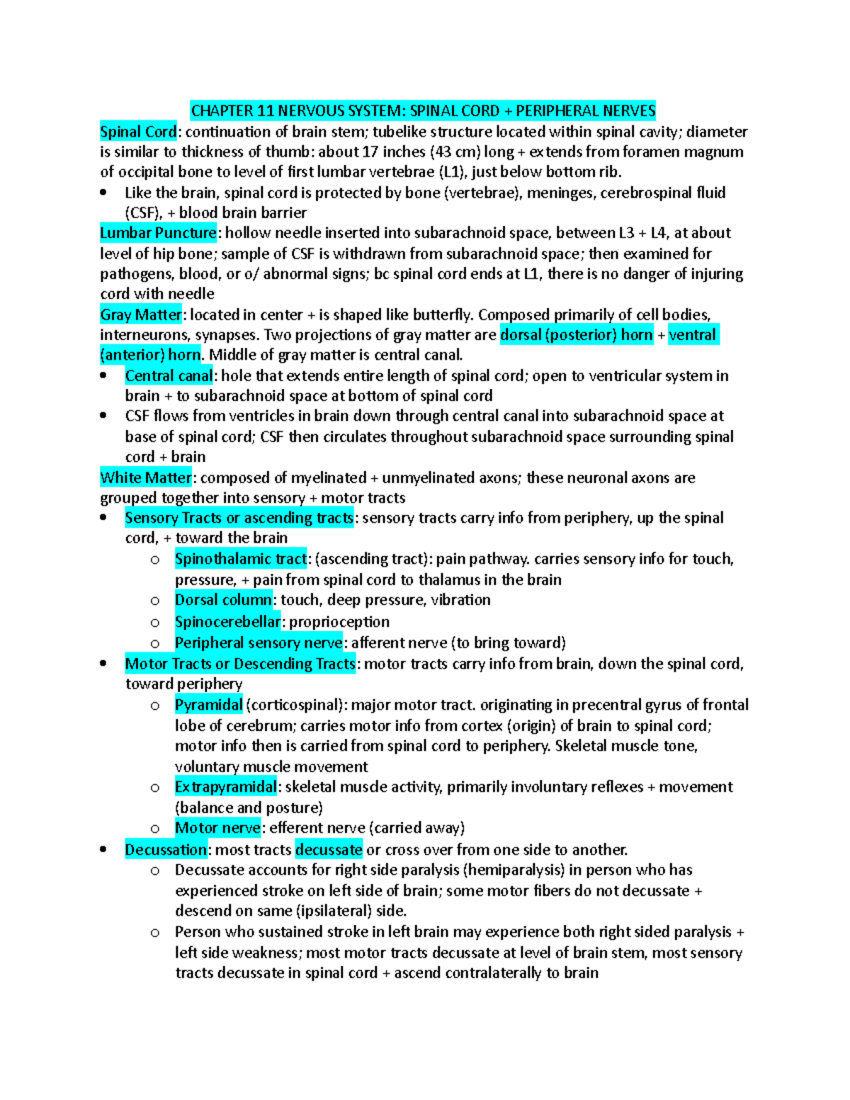 Chapter 11 Nervous System - CHAPTER 11 NERVOUS SYSTEM: SPINAL CORD ...