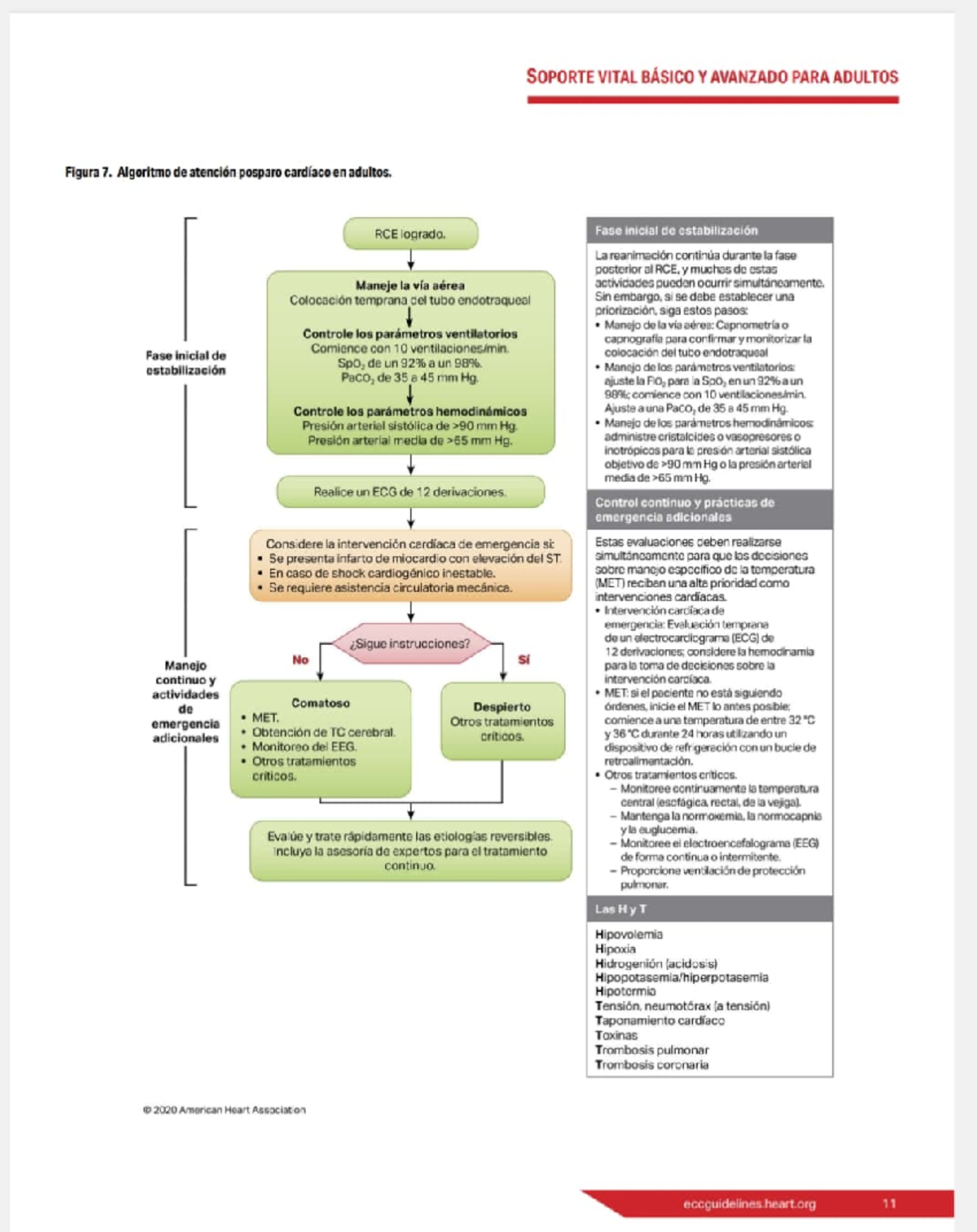 Adobe Scan 23 ene 2024 - Figura 7. Algoritmo de atención posparo ...