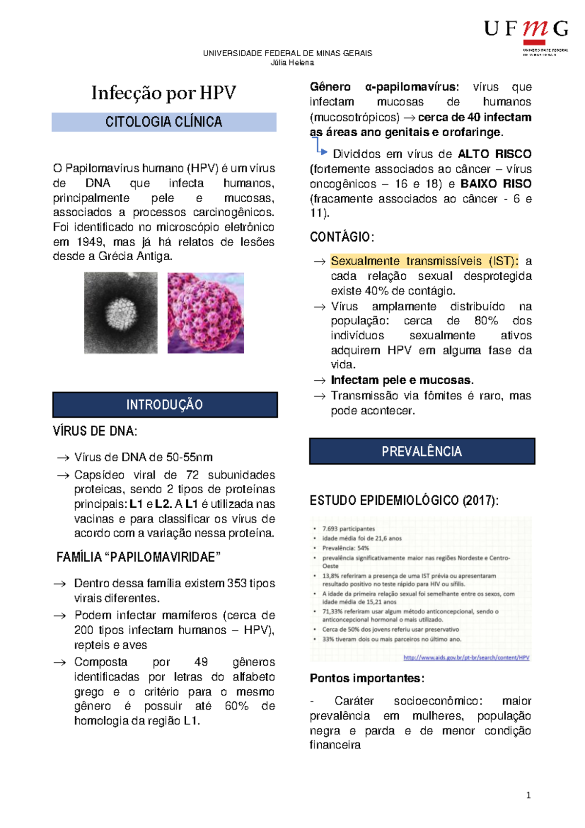 Infecção por HPV (tipos virais, progresso, evolução, informações ...