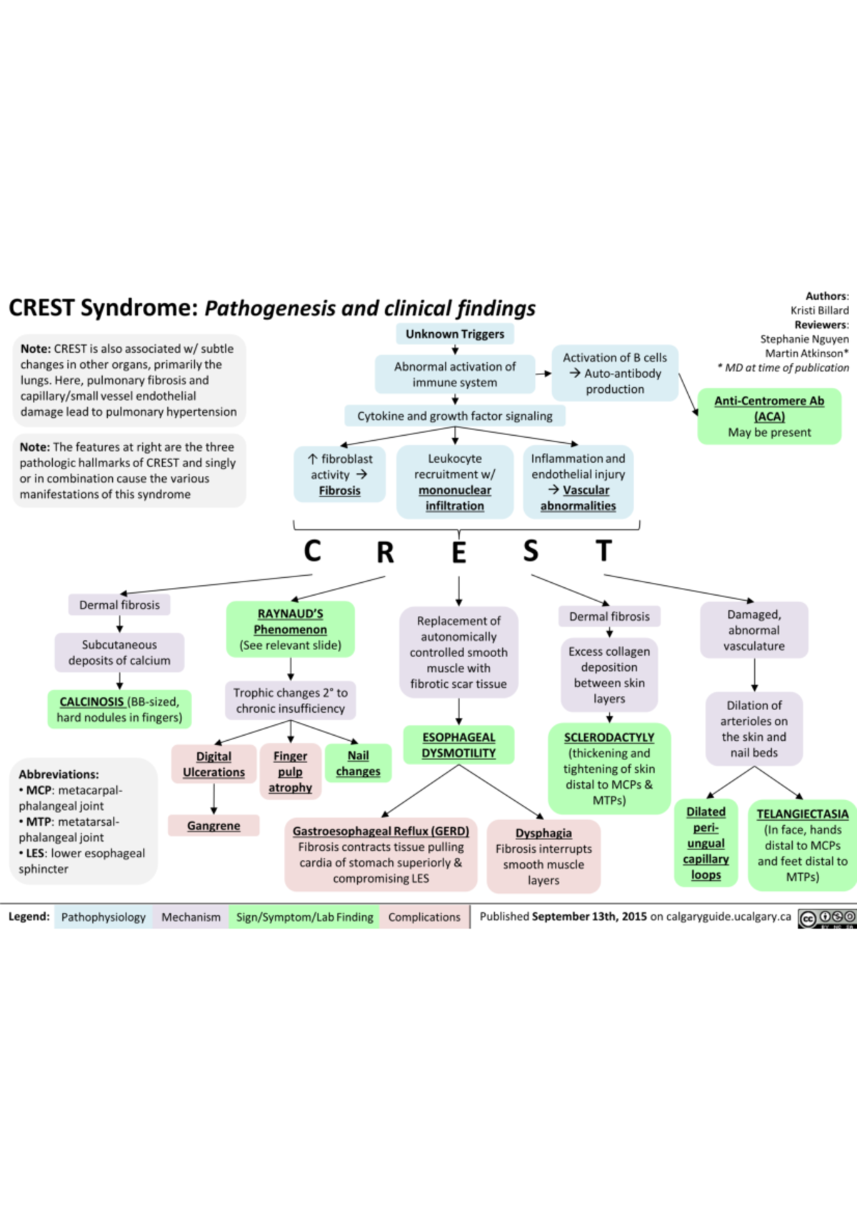 Final Crest Syndrome Pathogenesis and clinical findings - HLT54115 ...