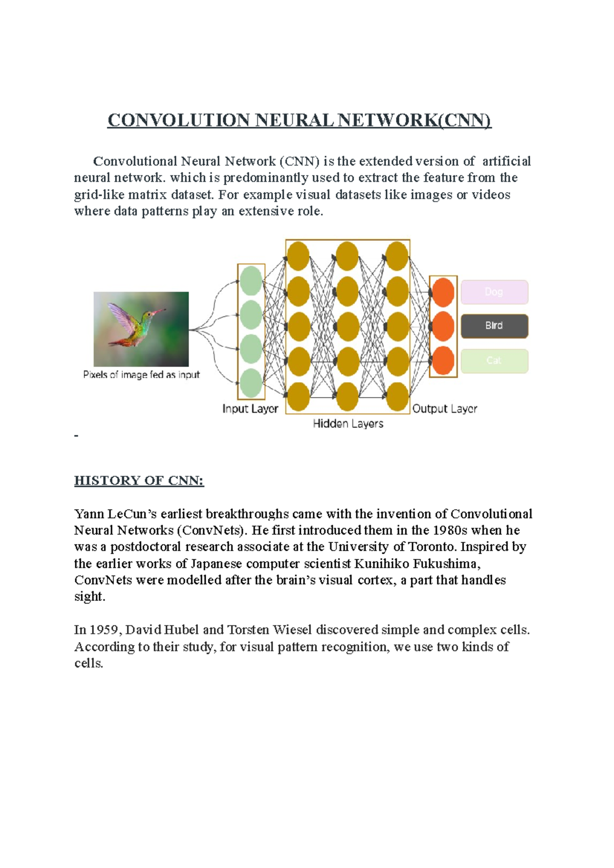Convolution Neural Network - CONVOLUTION NEURAL NETWORK(CNN ...