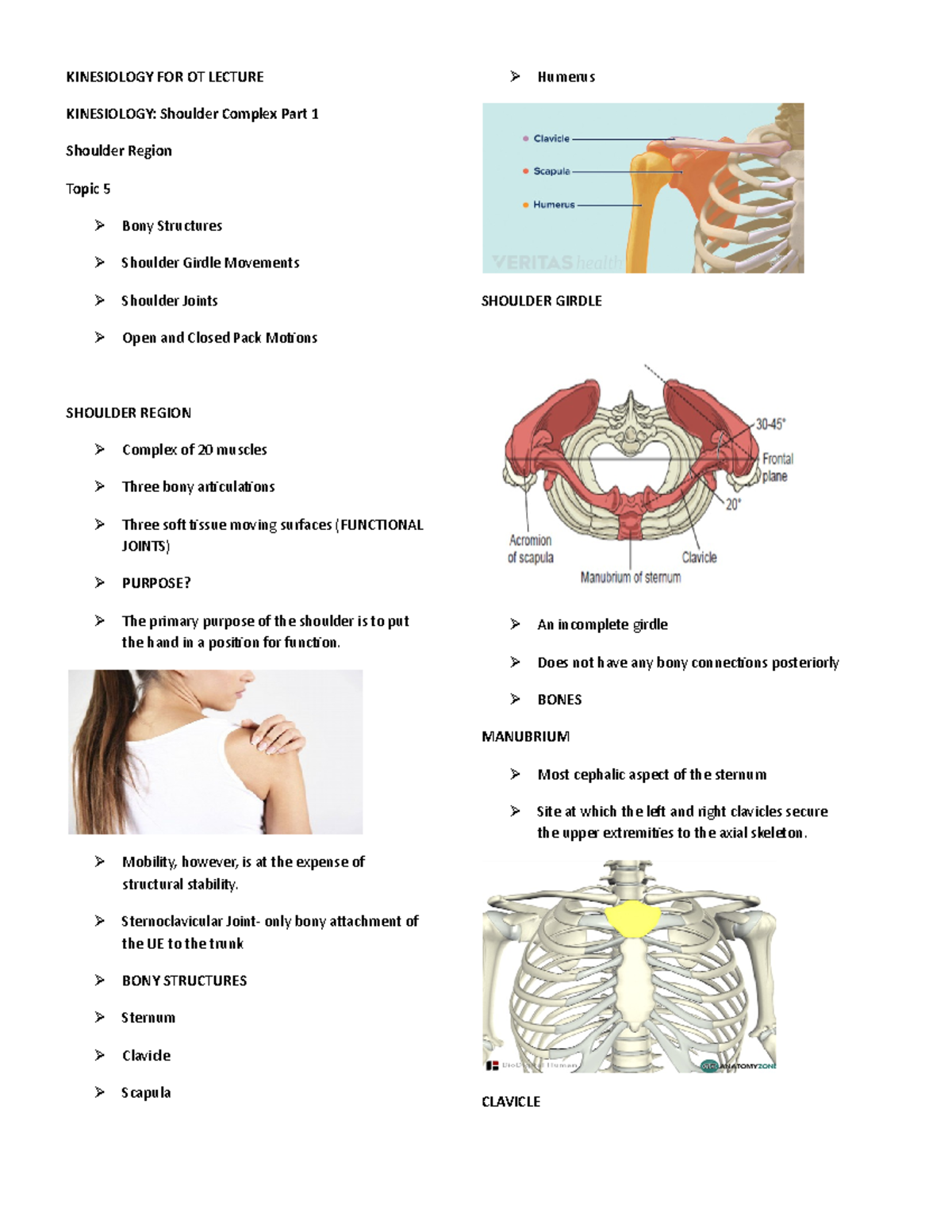 Shoulder Complex - Lecture (Part 1) - KINESIOLOGY FOR OT LECTURE ...