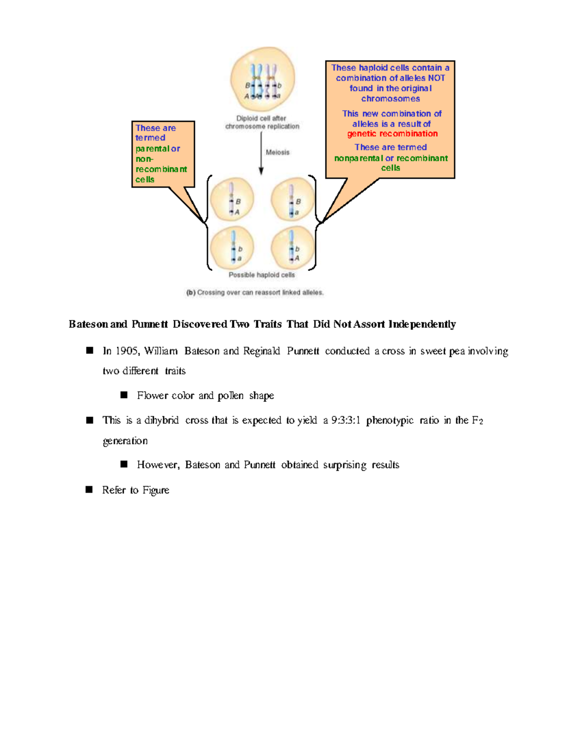 Bateson And Punnett Coupling And Repulsion Hypothesis at Grady Naylor blog