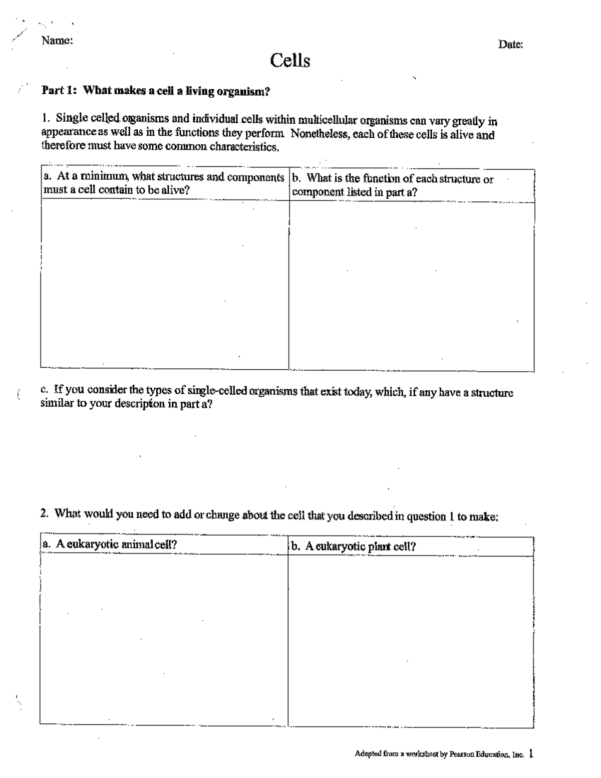 Cell Structure Flow Chart - Name: Date: Cells Part 1: What makes a cell ...