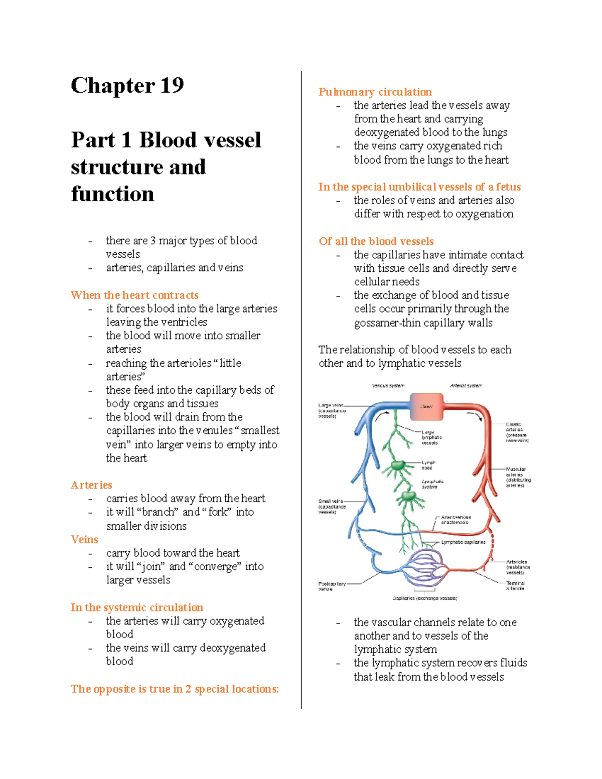Chapter 19 The heart anatomy - Chapter 19 Part 1 Blood vessel structure ...