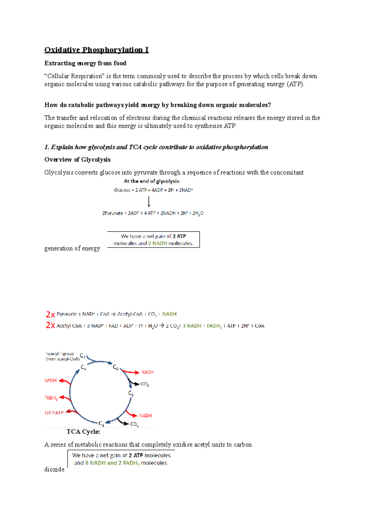 Oxidative Phosphorylation I - Oxidative Phosphorylation I Extracting ...