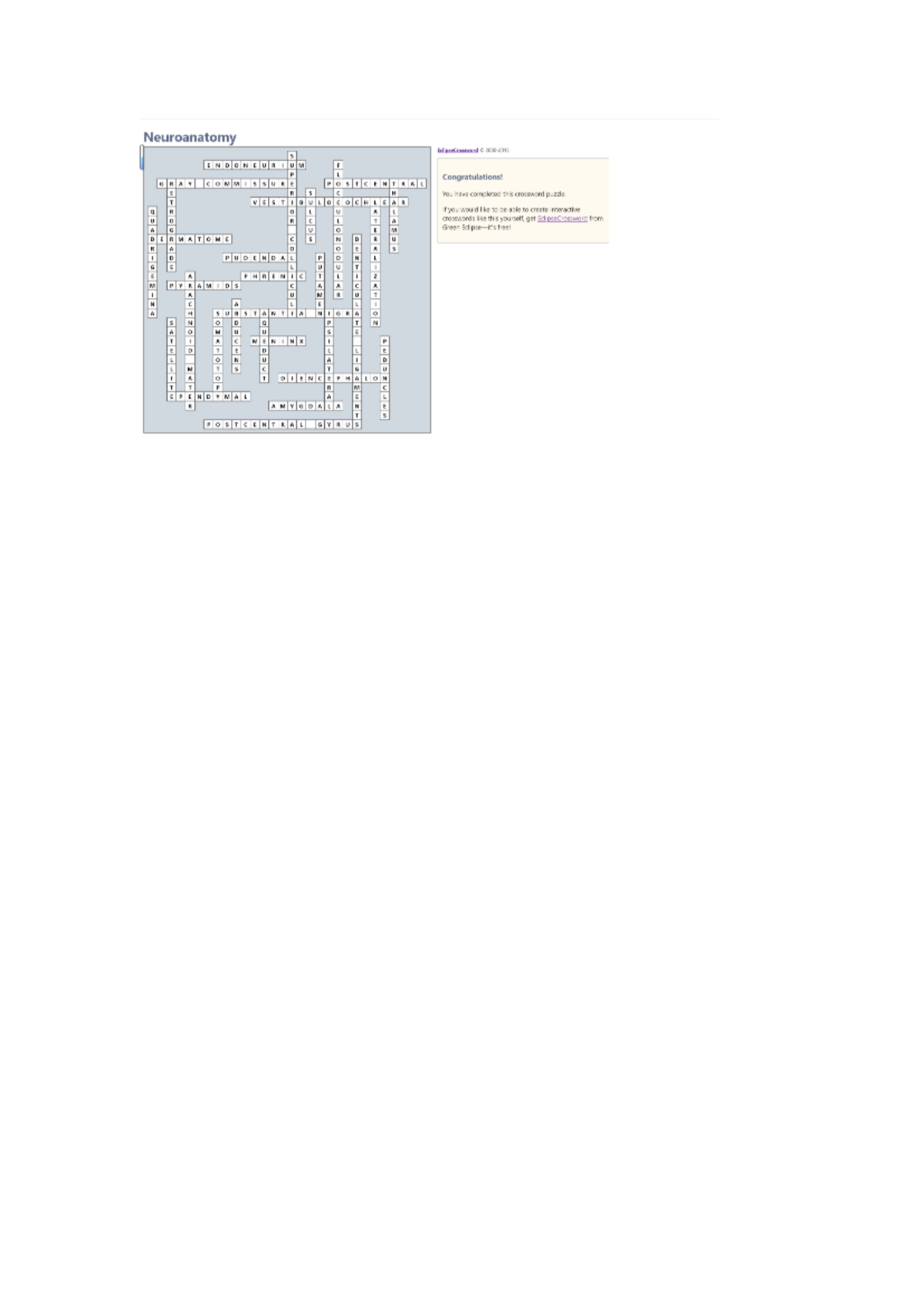 Neuroanatomy Crosswards pulzzes - ANP1106 - Neuroanatomy ...
