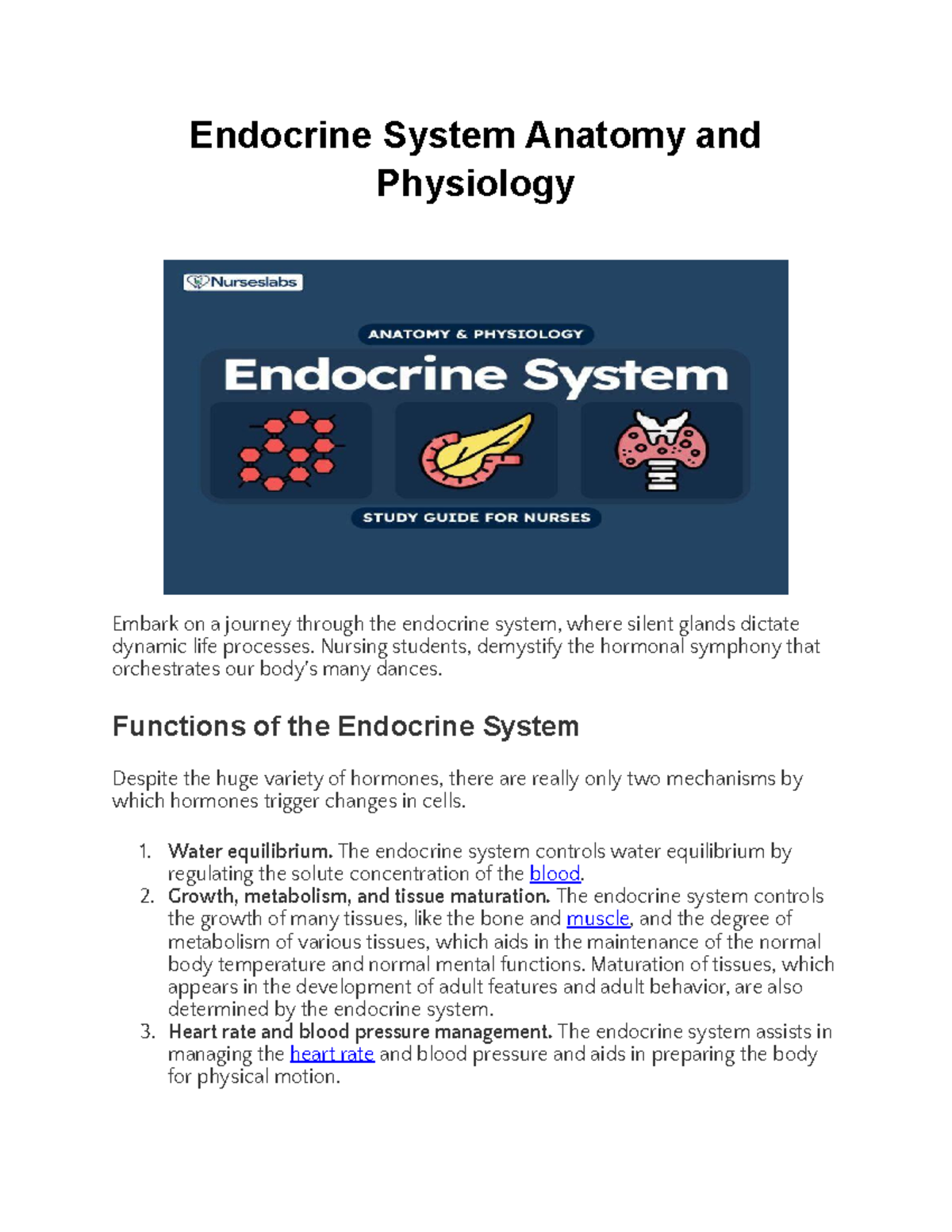 Endocrine- System - Coverage for semi-finals - Endocrine System Anatomy ...