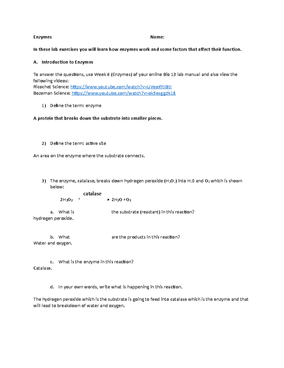 Lab Exercise on Enzymes - Enzymes Name: In these lab exercises you will ...