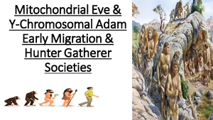 [Solved] Genetic variation - Master of Science Zoology (ZOO–CC-511 ...